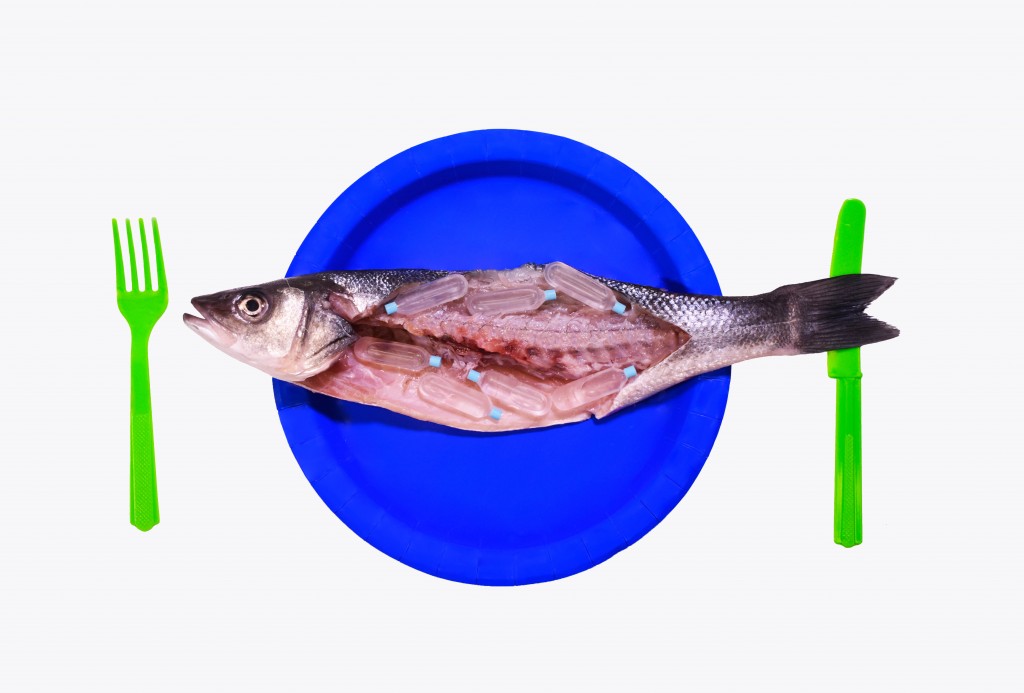 Wade – Sheffield Hallam University