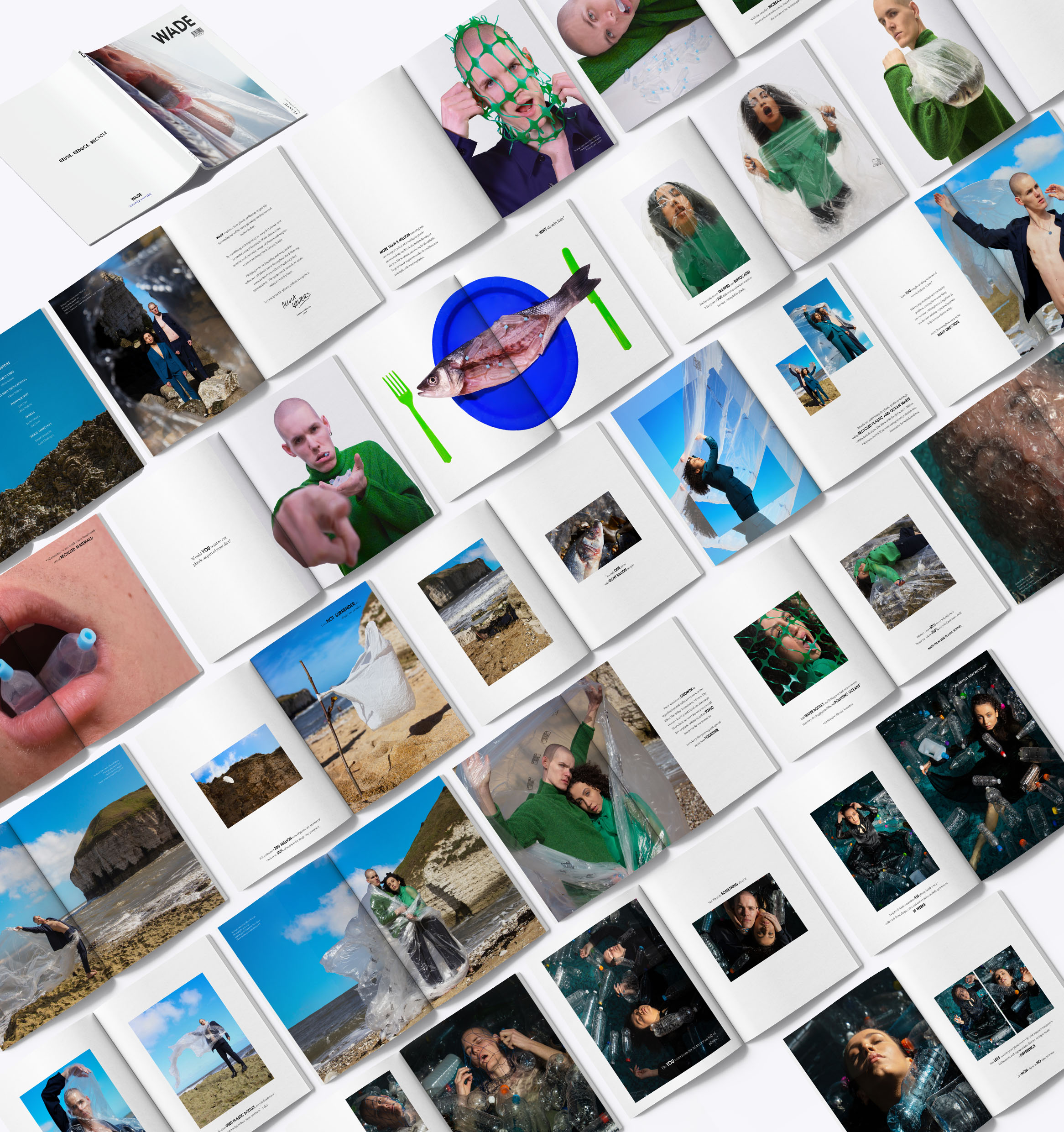 Wade – Sheffield Hallam University