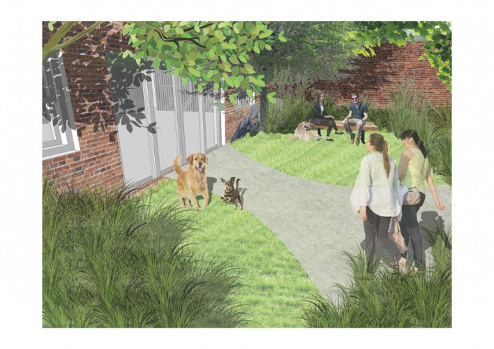 How can design and adaptive reuse benefit animal welfare? – Sheffield ...