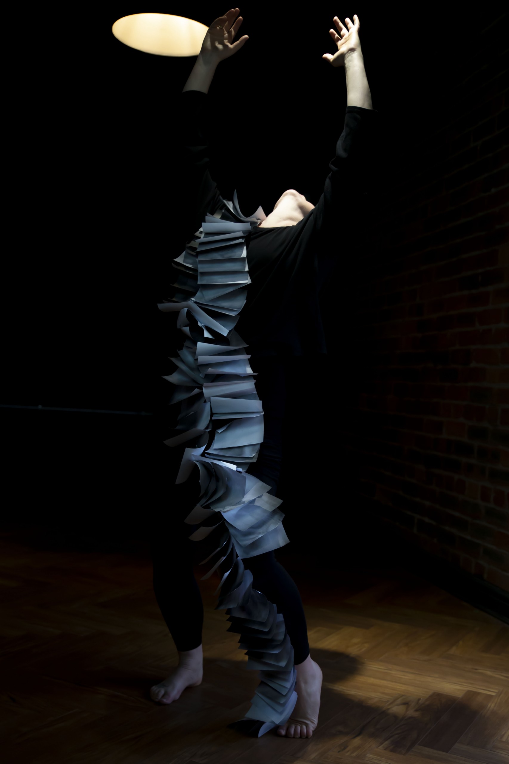 Hayley Grafflin – Sheffield Hallam University