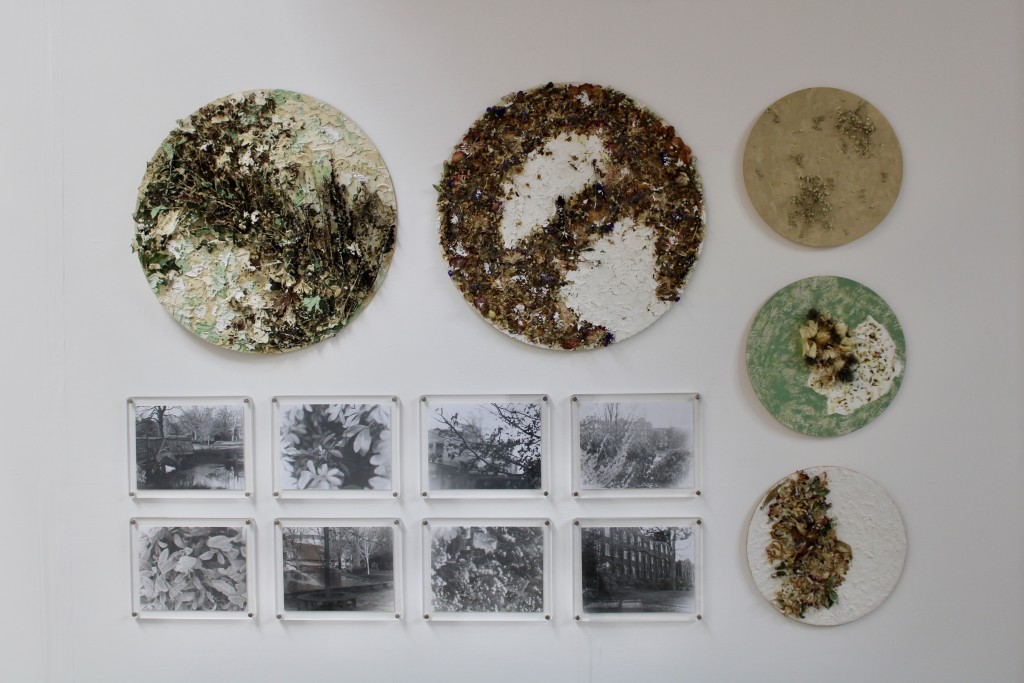 People Hannah Perfect - Sheffield Hallam University